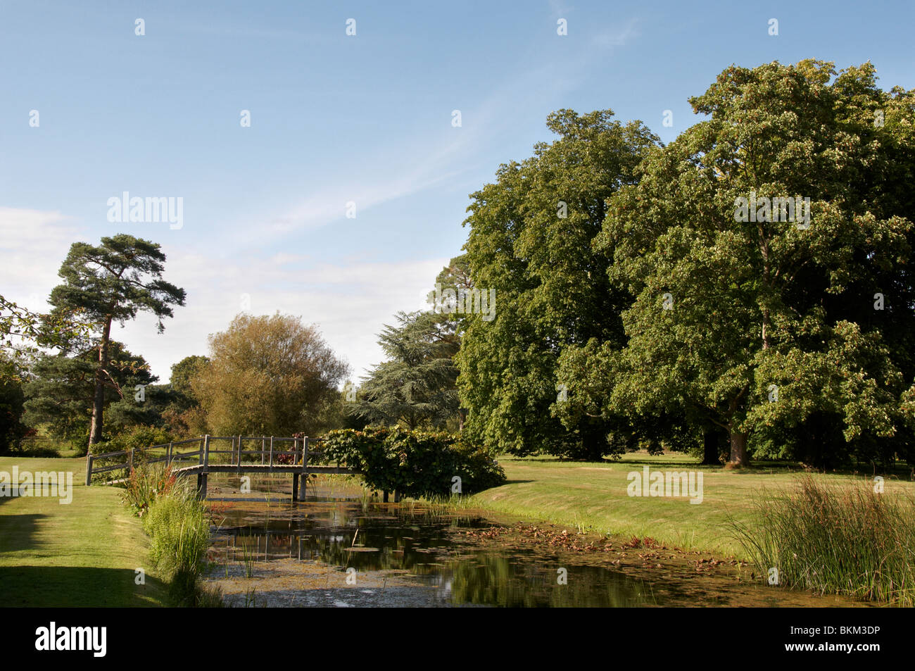 A stream in summer in the countryside Stock Photo - Alamy