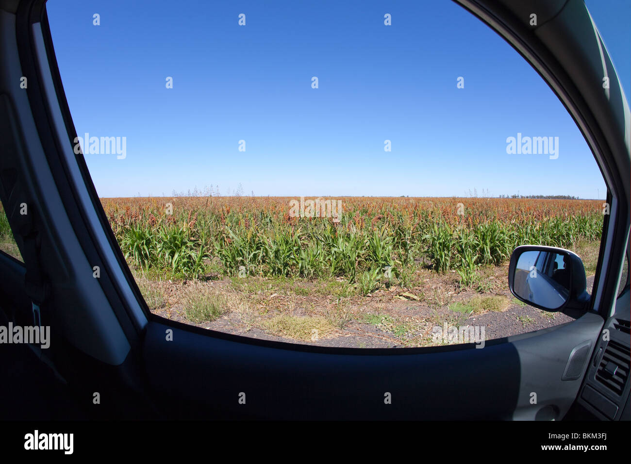 Car window view corn field hi-res stock photography and images - Alamy