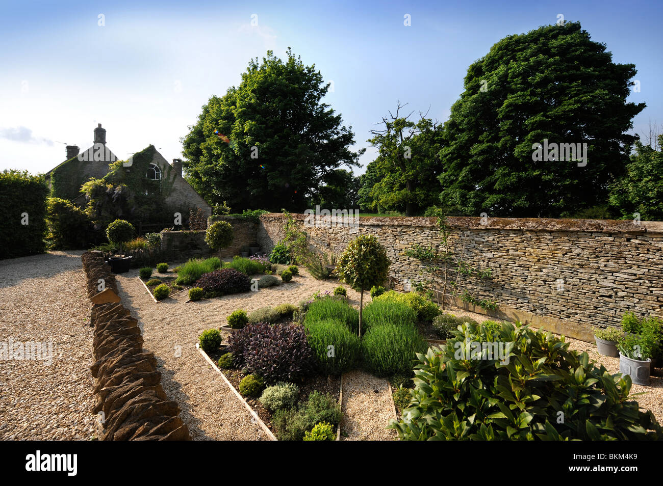 Traditional plant kingdom hi-res stock photography and images - Alamy