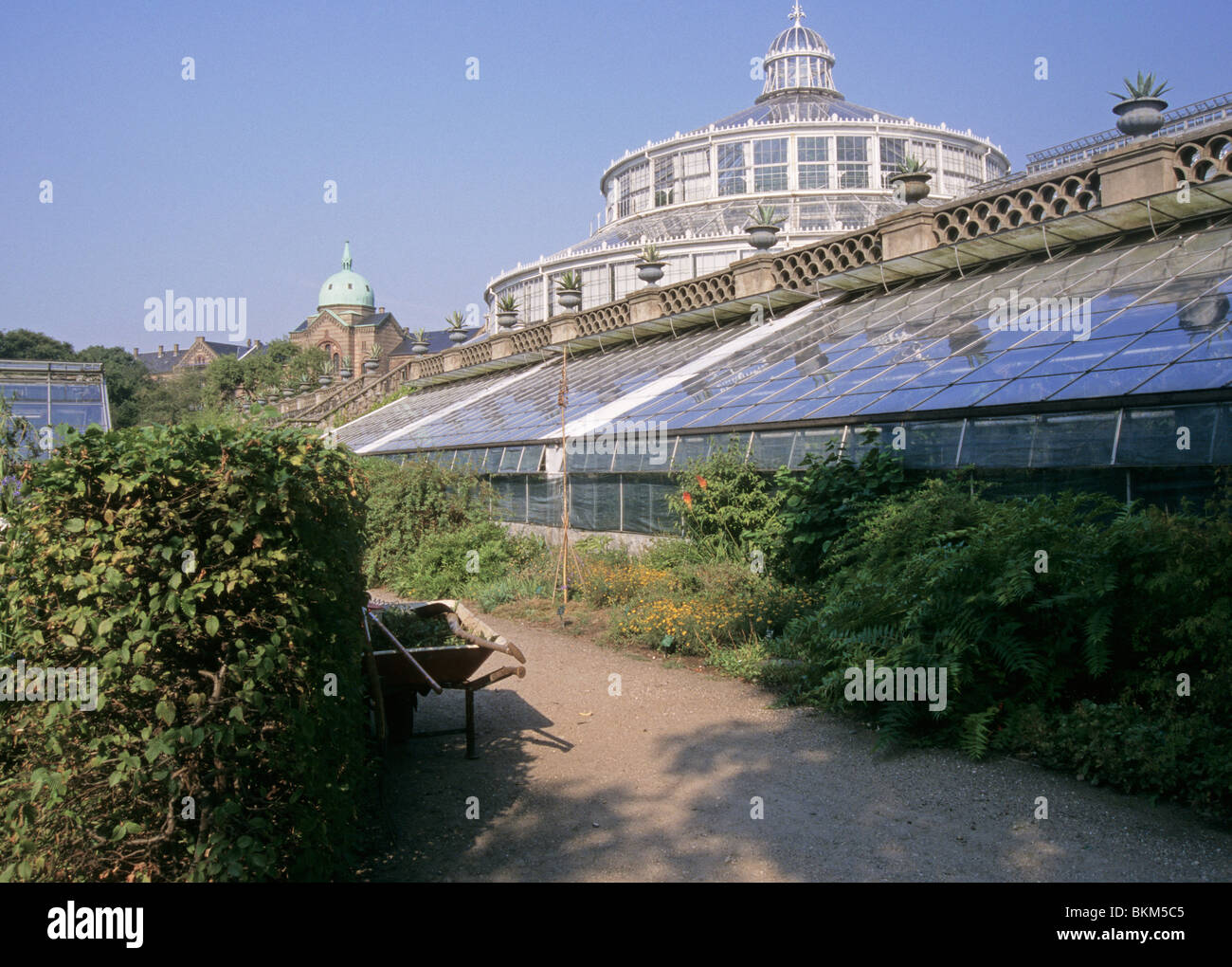 Copenhagen Botanical Garden - Denmark Stock Photo - Alamy