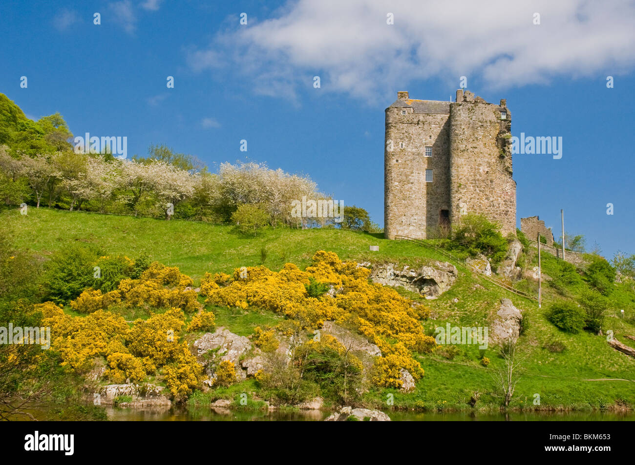 14th Century Neidpath Castle beside the River Tweed Peebles Scottish ...