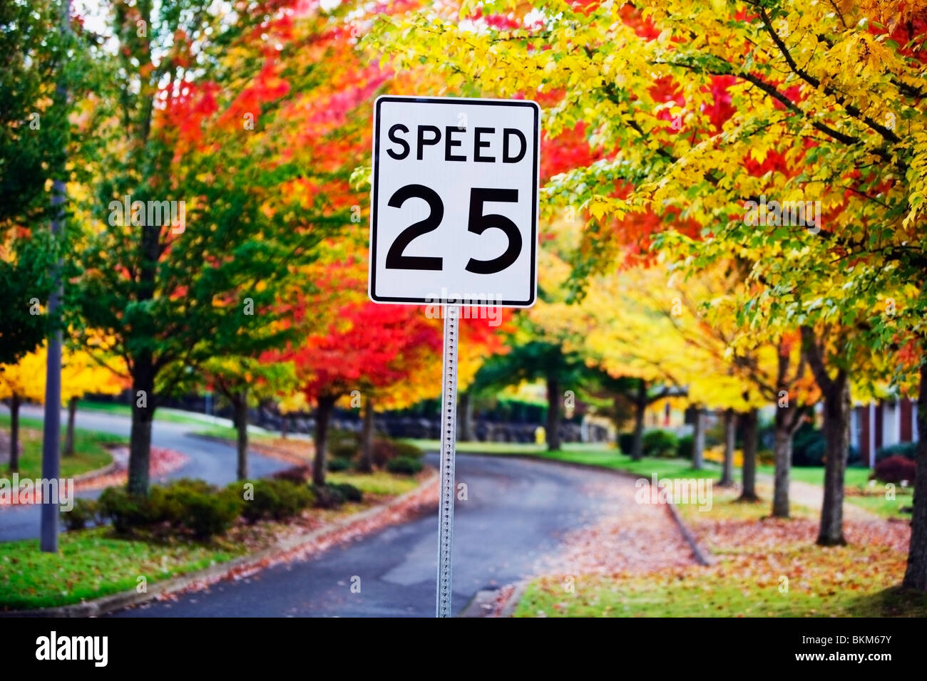 Road signs united states of america hi-res stock photography and images ...