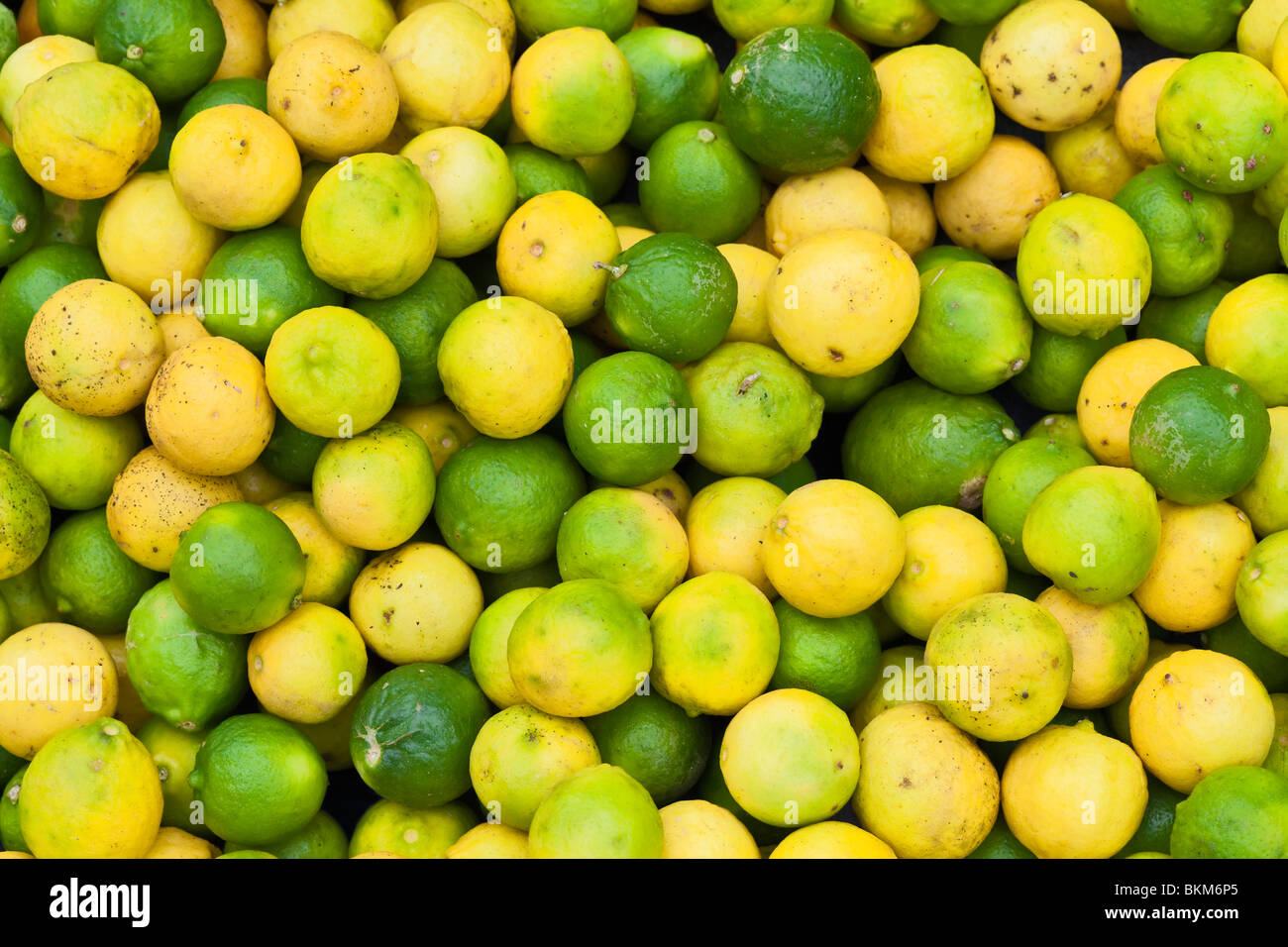 Lemons and limes Stock Photo - Alamy
