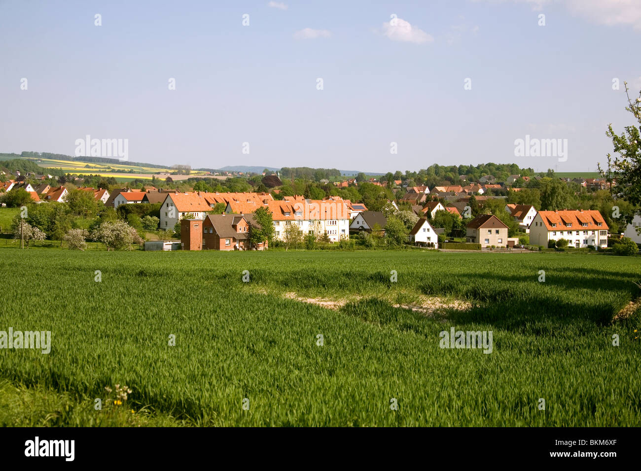Frühling im Deister Spring in Germany Stock Photo - Alamy
