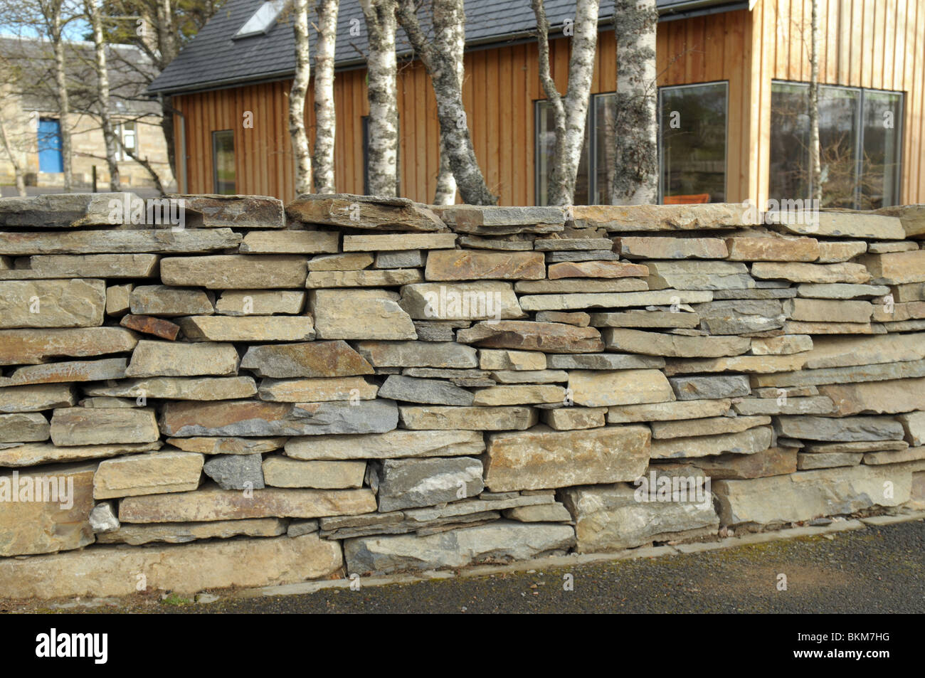 Modern drystone wall in preservation area of Scotland Stock Photo - Alamy