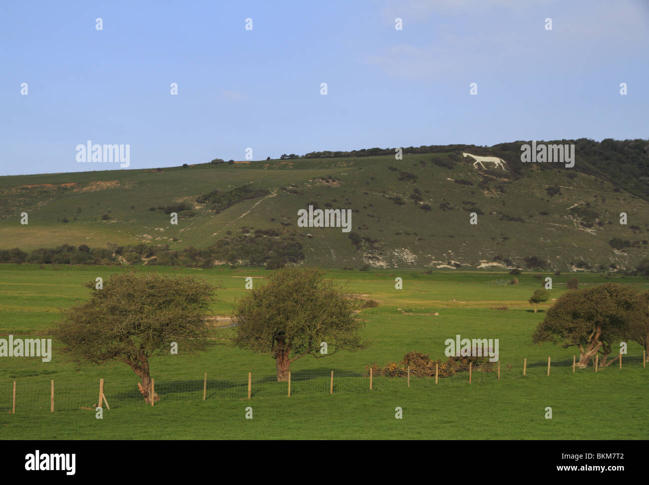 Looking across the Cuckmere Valley towards the white horse on Hindover ...