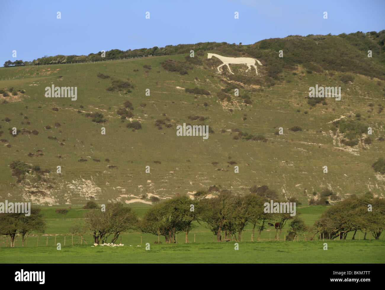 Looking across the Cuckmere Valley towards the white horse on Hindover ...