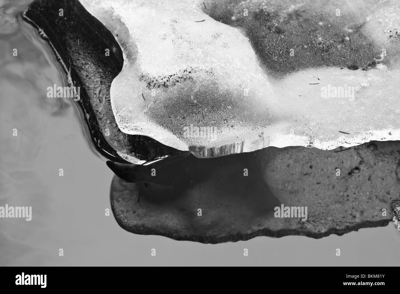 Stream edge Black and White Stock Photos & Images - Alamy