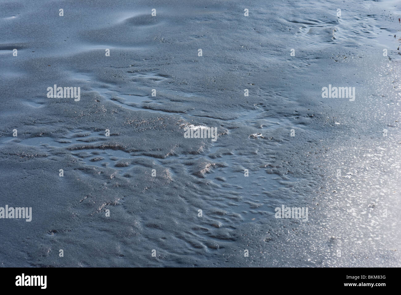 Ice on a bog pool Stock Photo - Alamy
