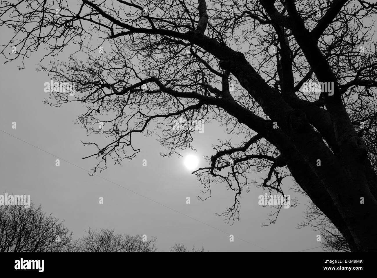 SUN ON A GREY DAY Stock Photo - Alamy