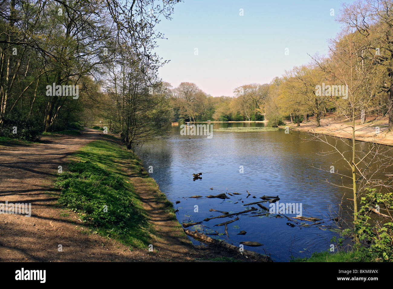 Queen's mere lake, an oasis on Wimbledon Common, London SW19 England UK ...