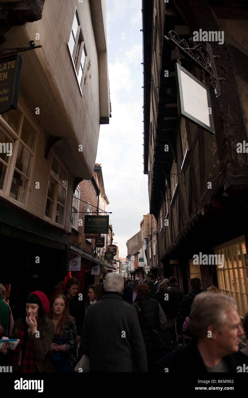 Little Shambles York UK Stock Photo - Alamy