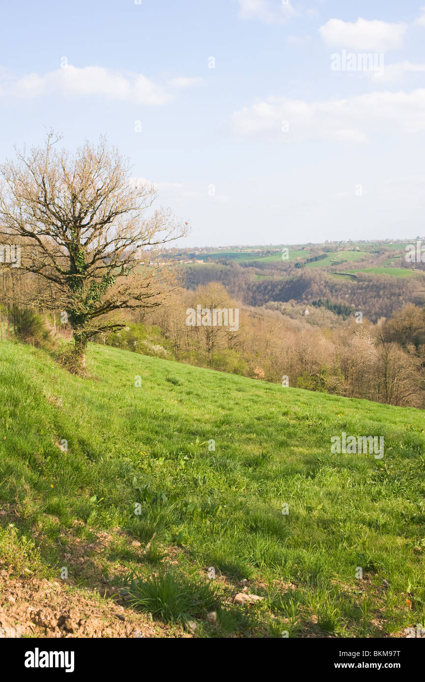 Rolling countryside hi-res stock photography and images - Alamy