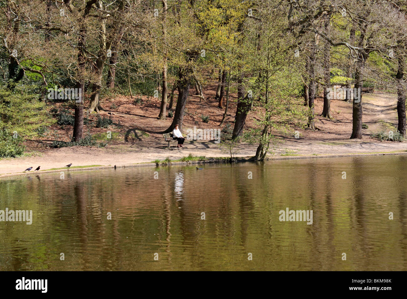Queen's mere lake, an oasis on Wimbledon Common, London SW19 England UK ...