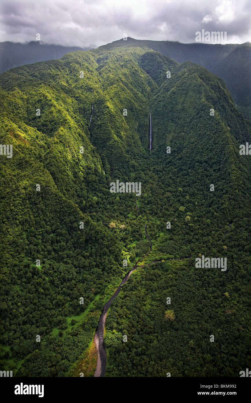 Samoa savaii rainforest hi-res stock photography and images - Alamy