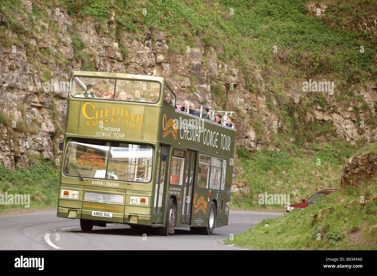 Open topped tourist bus climbing horse shoe bend in Cheddar Gorge Stock ...