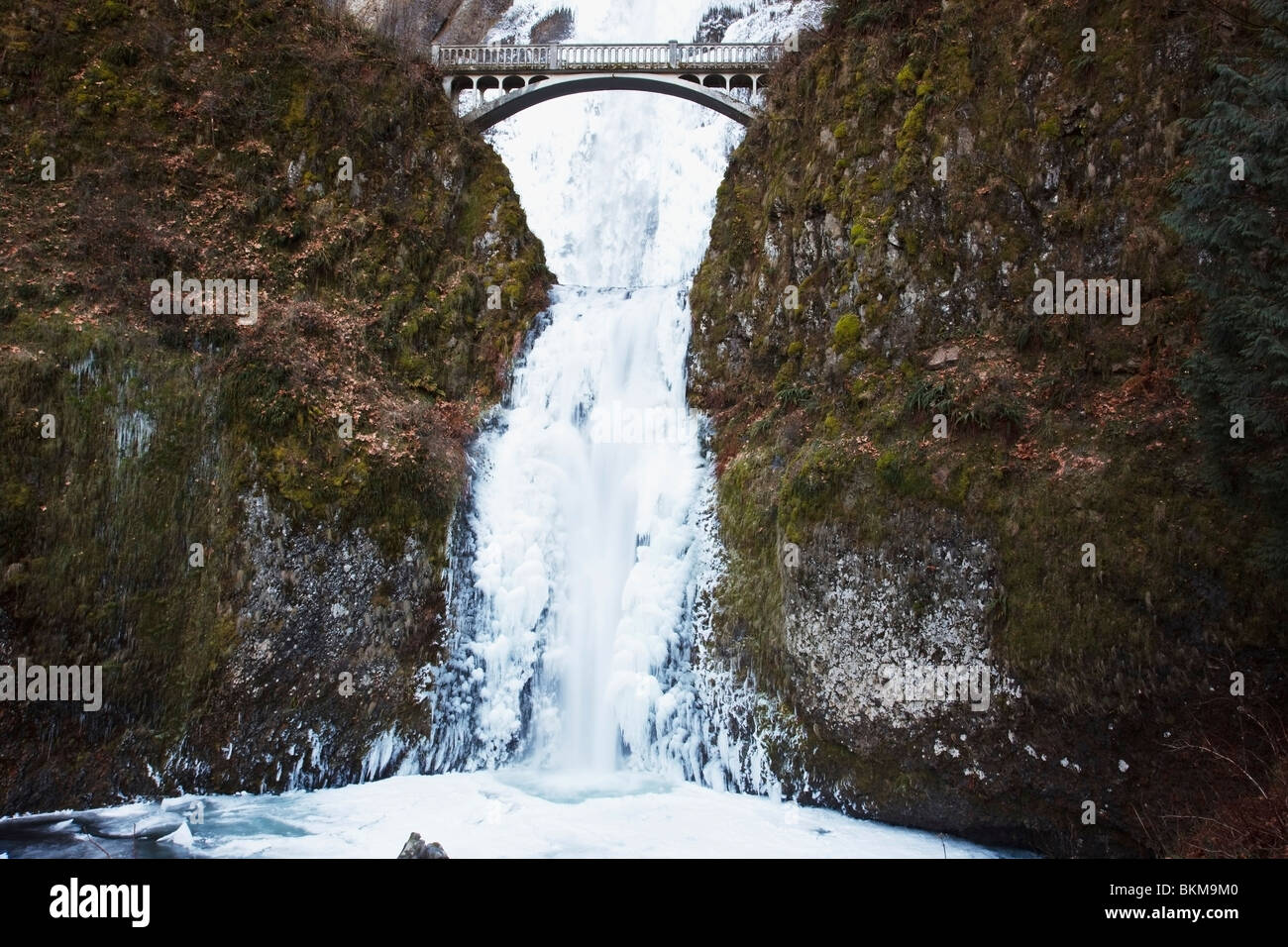 Multnomah falls frozen hi-res stock photography and images - Alamy