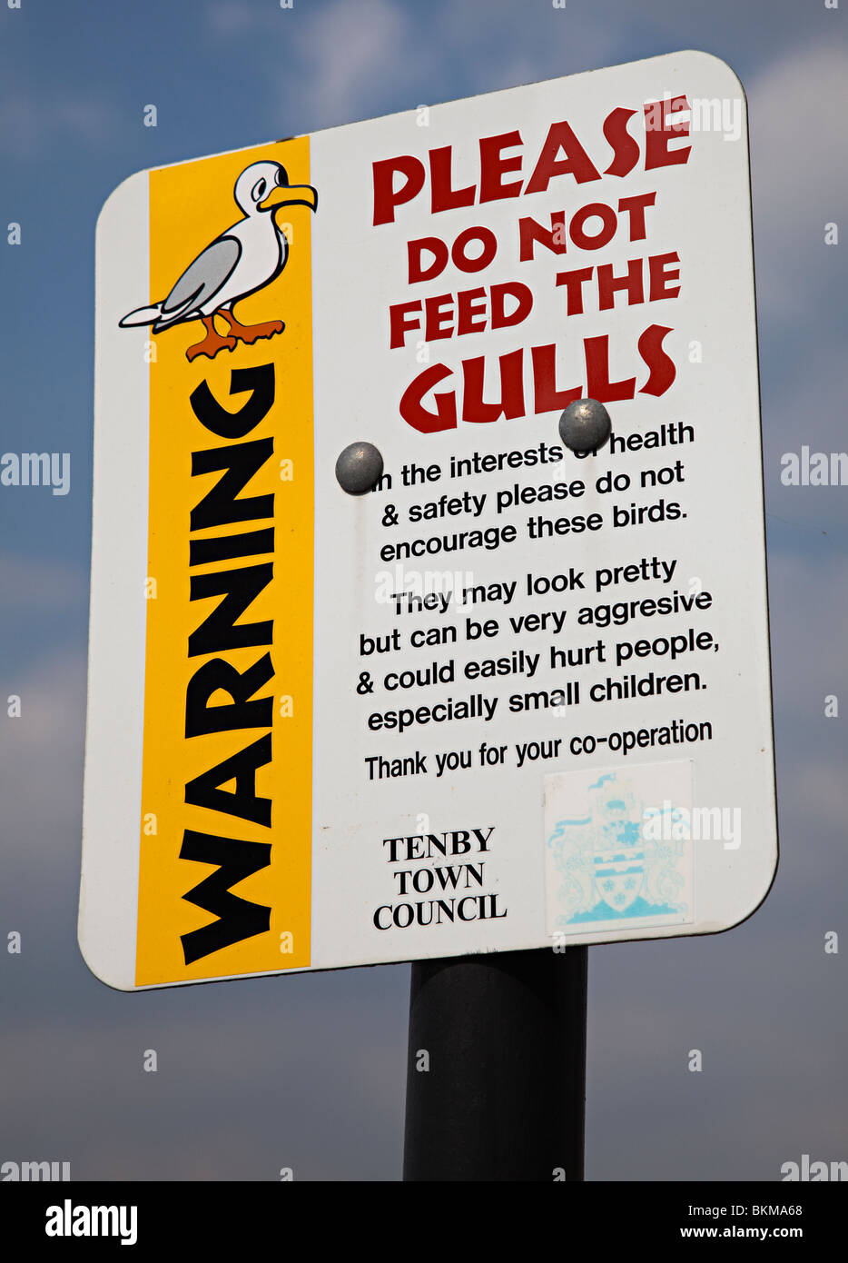 Do not feed seagulls sign Tenby Wales UK Stock Photo - Alamy