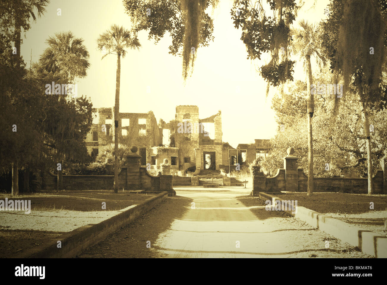 RUINS OF DUNGENESS MANSION ON CUMBERLAND ISLAND, GEORGIA, USA Stock ...