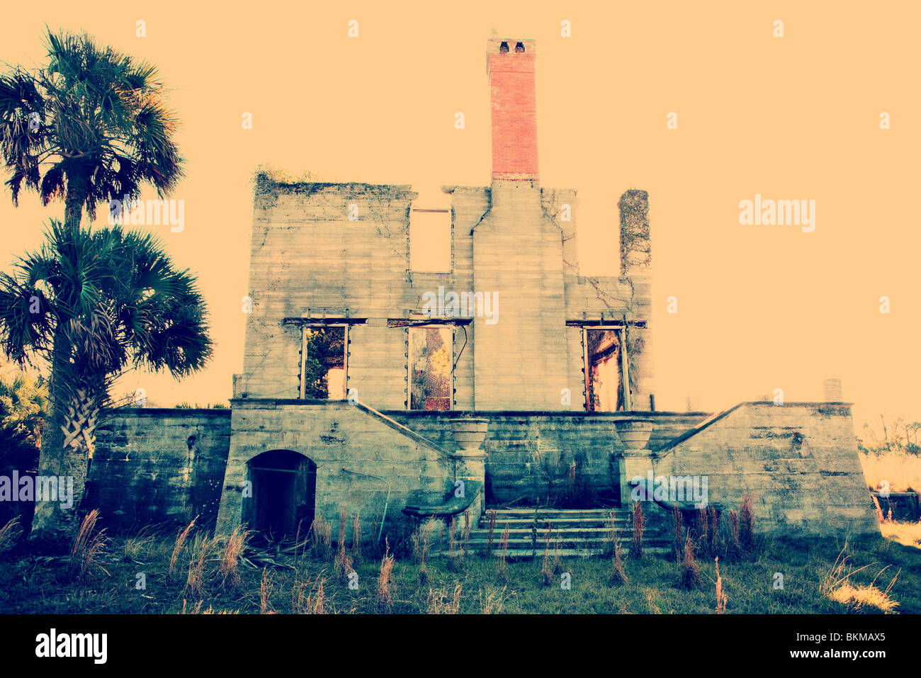 RUINS OF DUNGENESS MANSION ON CUMBERLAND ISLAND, GEORGIA, UNITED STATES ...