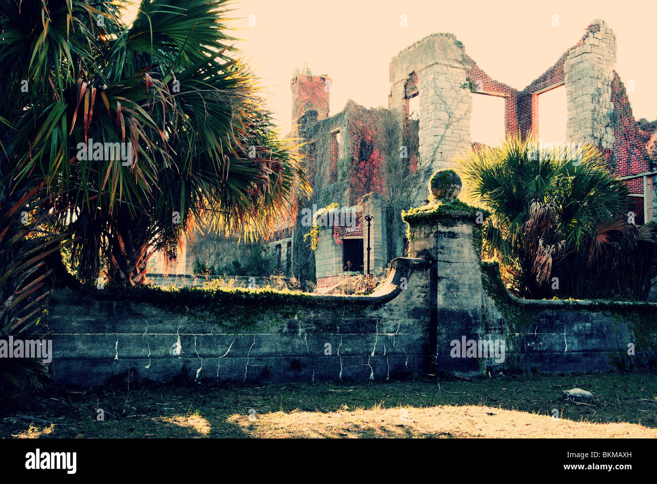 RUINS OF DUNGENESS MANSION ON CUMBERLAND ISLAND, GEORGIA, UNITED STATES ...