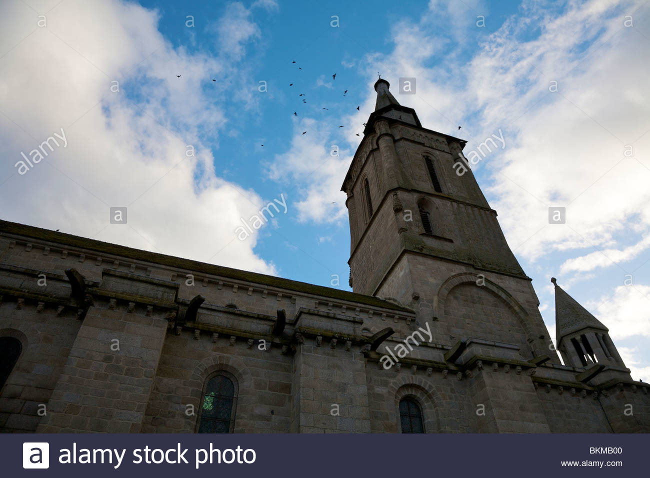 Birds Flying Around Bell Tower High Resolution Stock Photography and ...