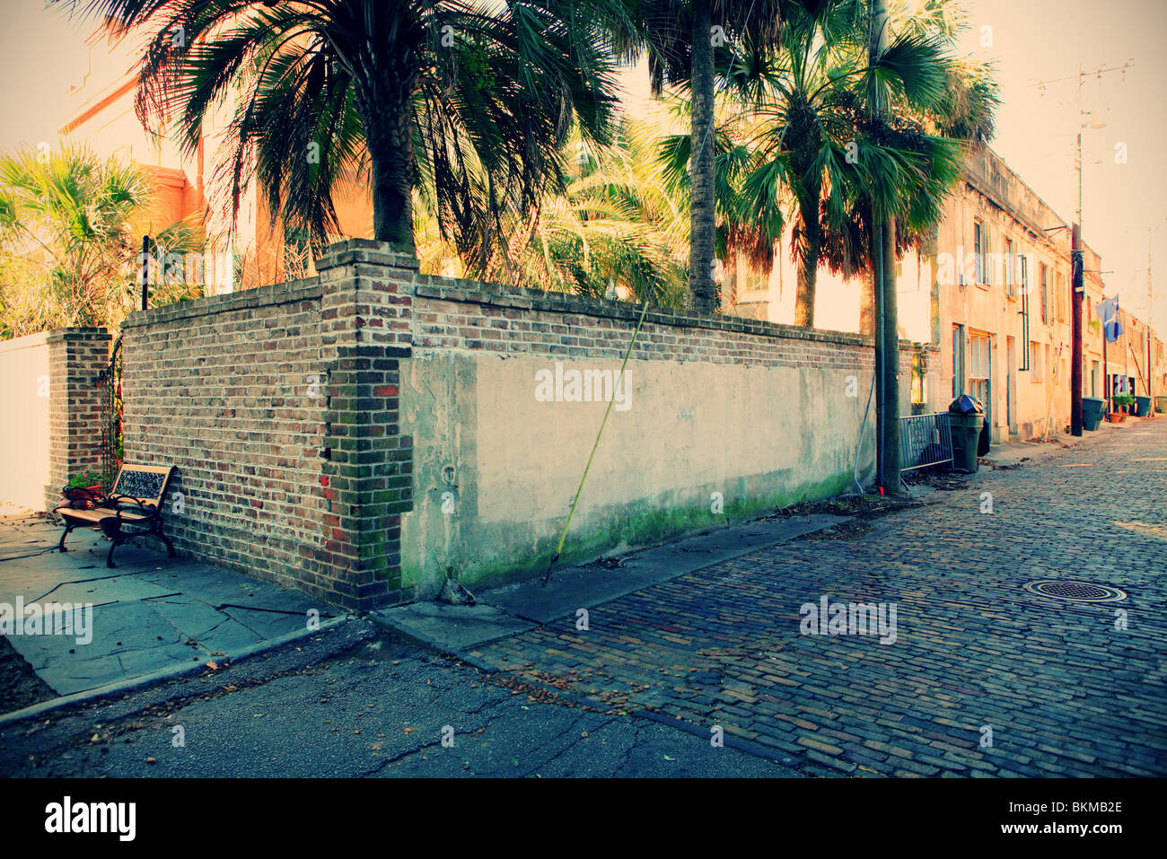 COBBLESTONE BACK ALLEY IN THE HISTORIC DISTRICT OF SAVANNAH, GEORGIA ...