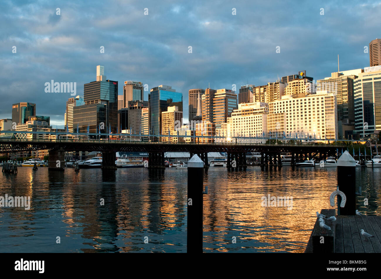 Pyrmont bridge sydney hi-res stock photography and images - Alamy