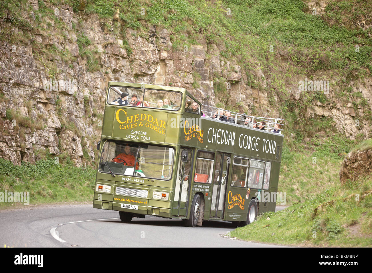 Open topped tourist bus climbing horse shoe bend in Cheddar Gorge Stock ...