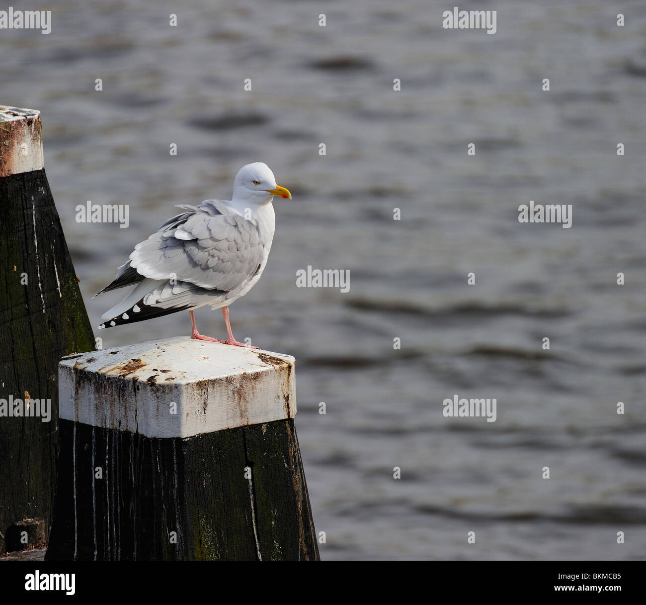 Turn and wave hi-res stock photography and images - Alamy