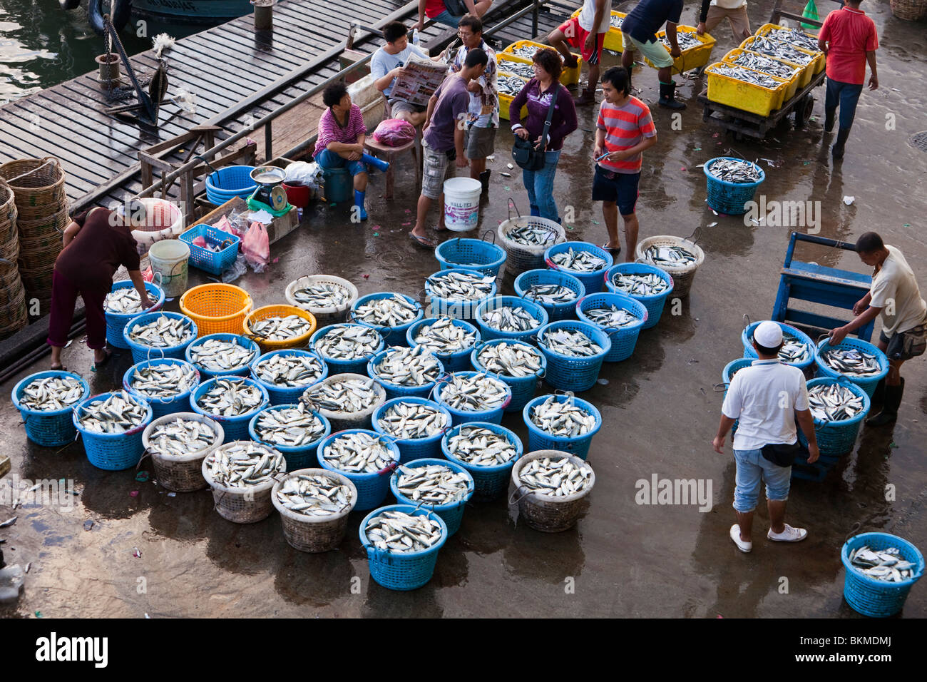 Morning fish market on the waterfront in Sandakan, Sabah, Borneo ...