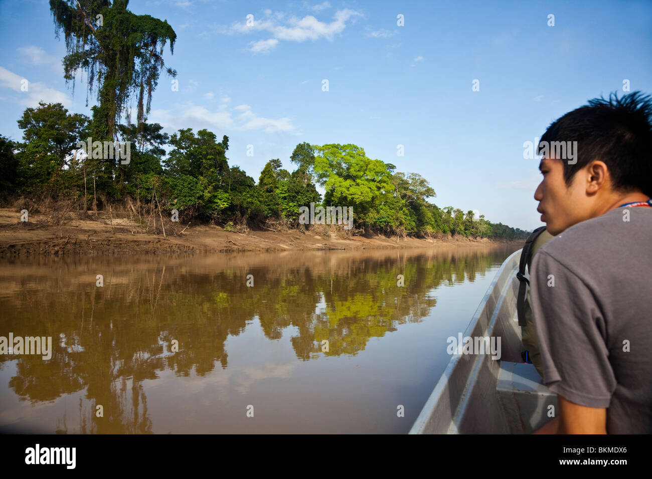 Tourist searching riverbank for wildlife on the Kinabatangan River ...