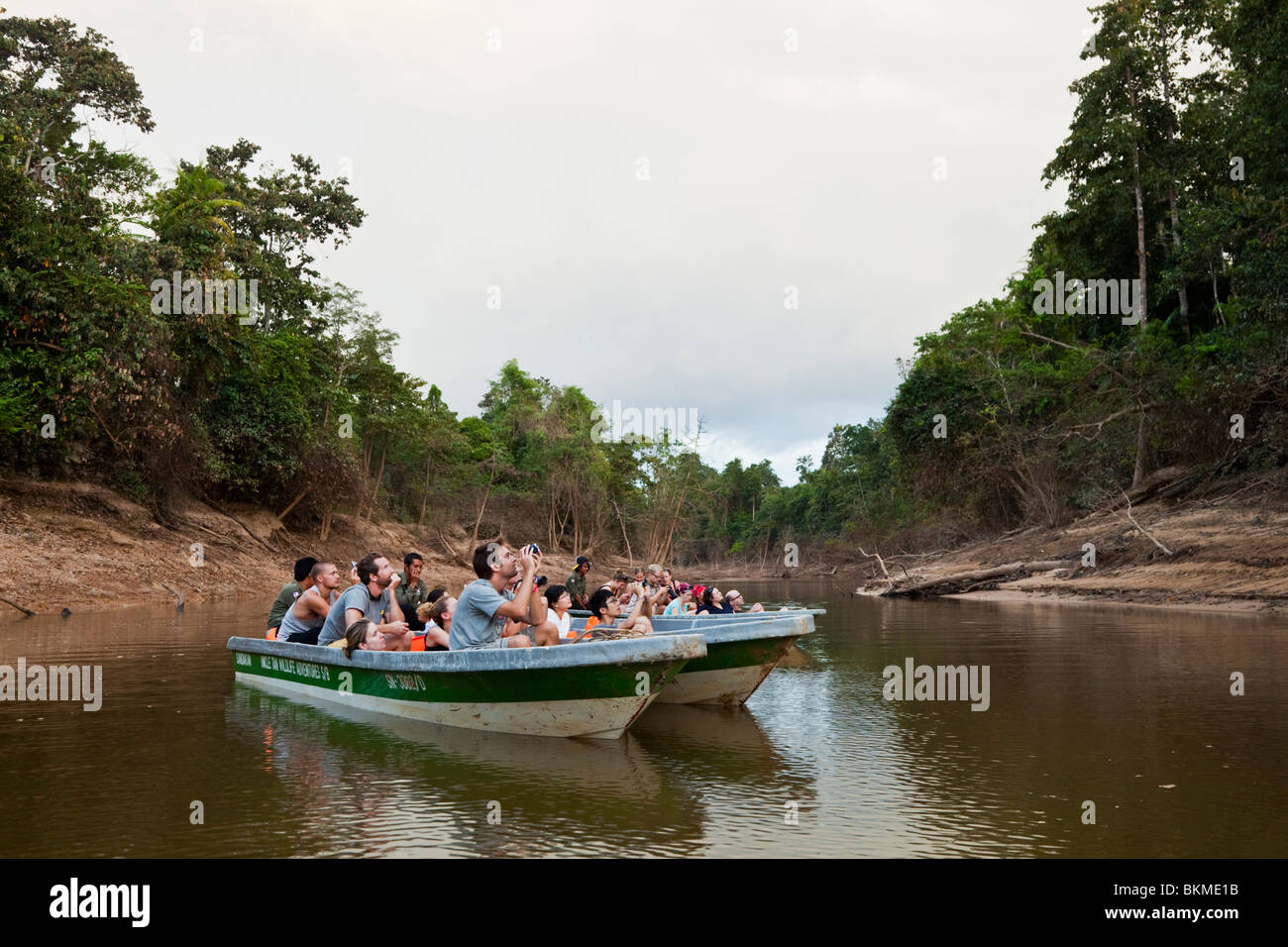 Wildlife spotting boat tour on the Kinabatangan River, Sabah, Borneo ...
