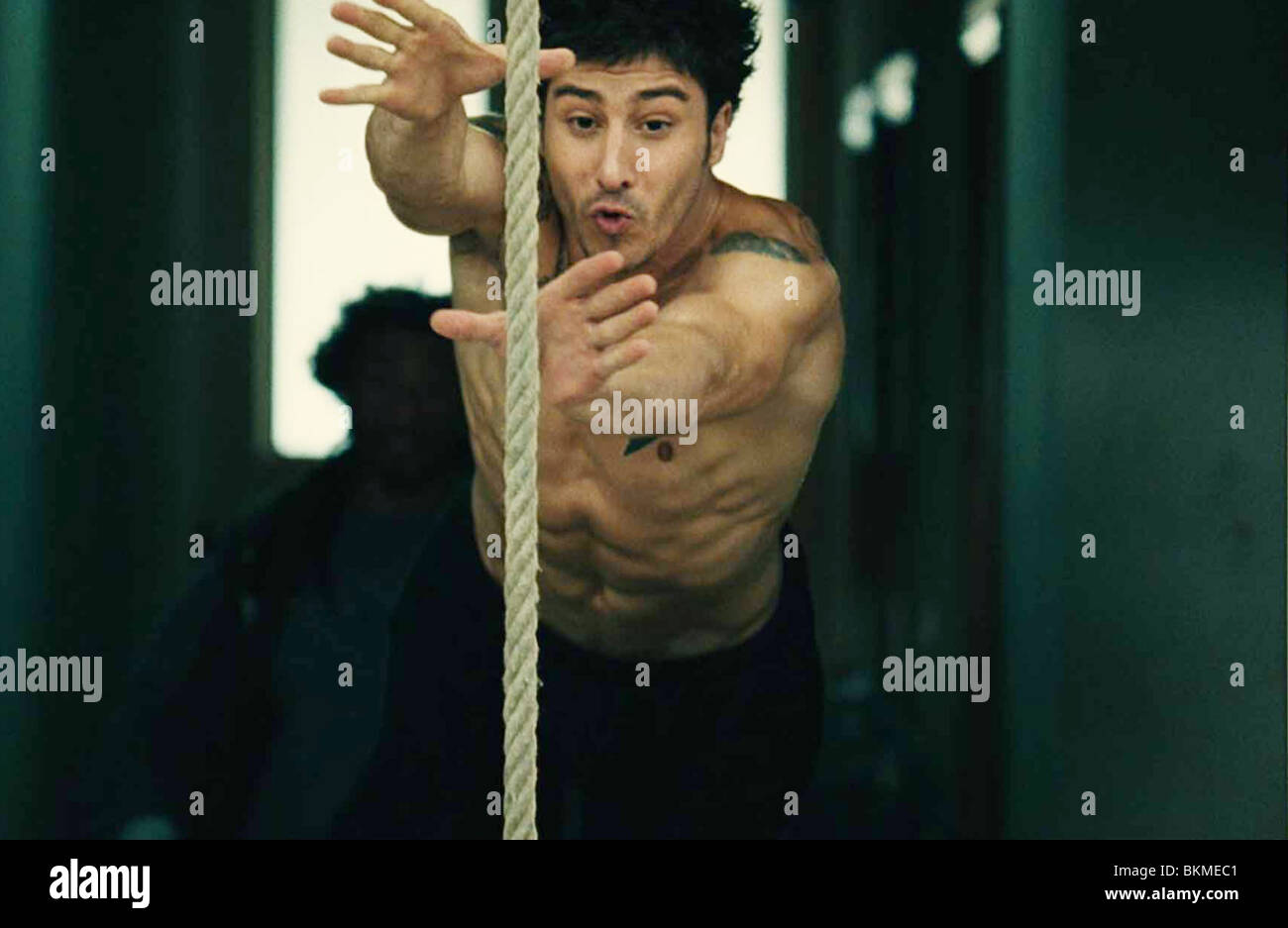 David Belle The Family