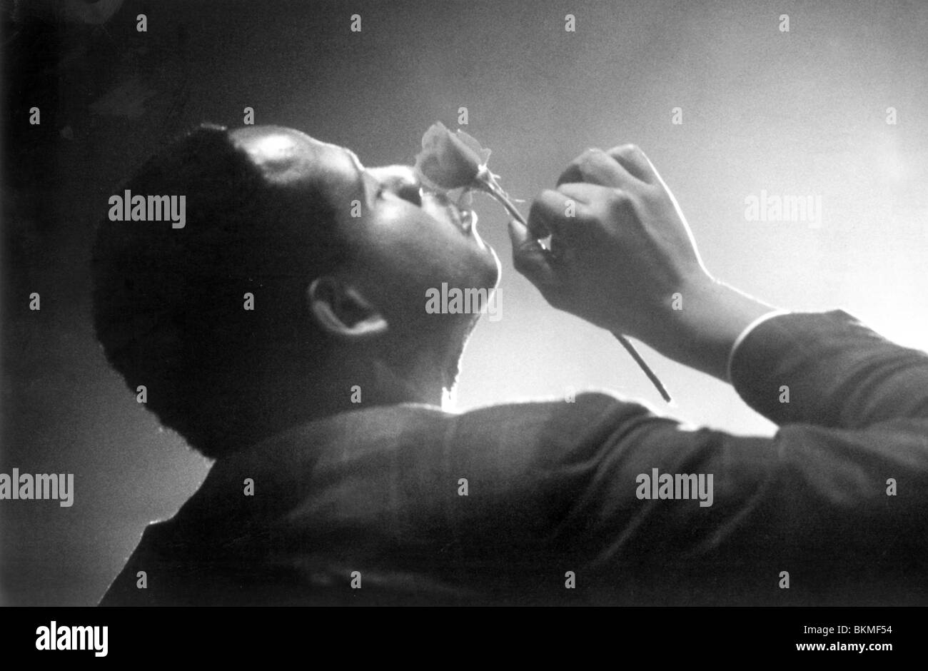 Bird (1988) forest whitaker hi-res stock photography and images - Alamy
