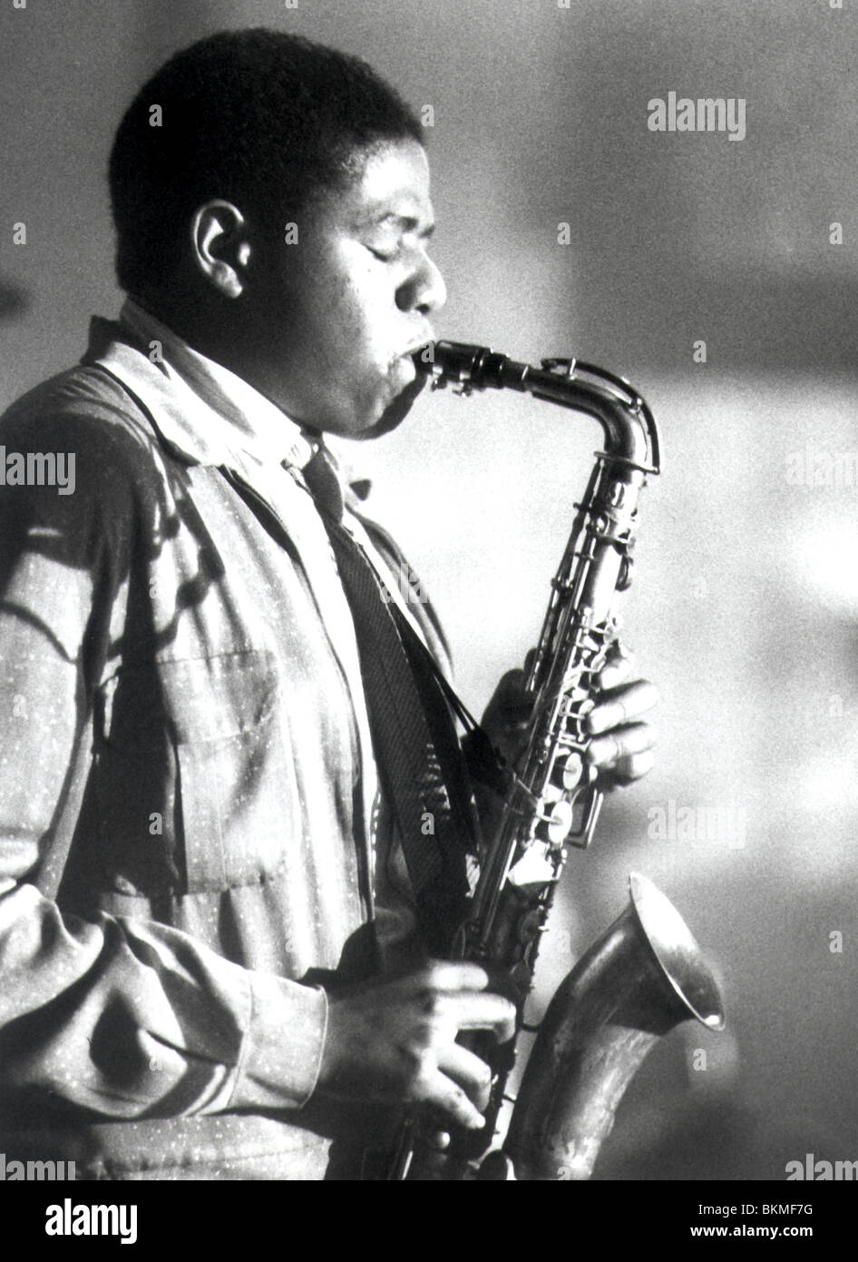 BIRD -1988 DAMON WHITAKER Stock Photo - Alamy