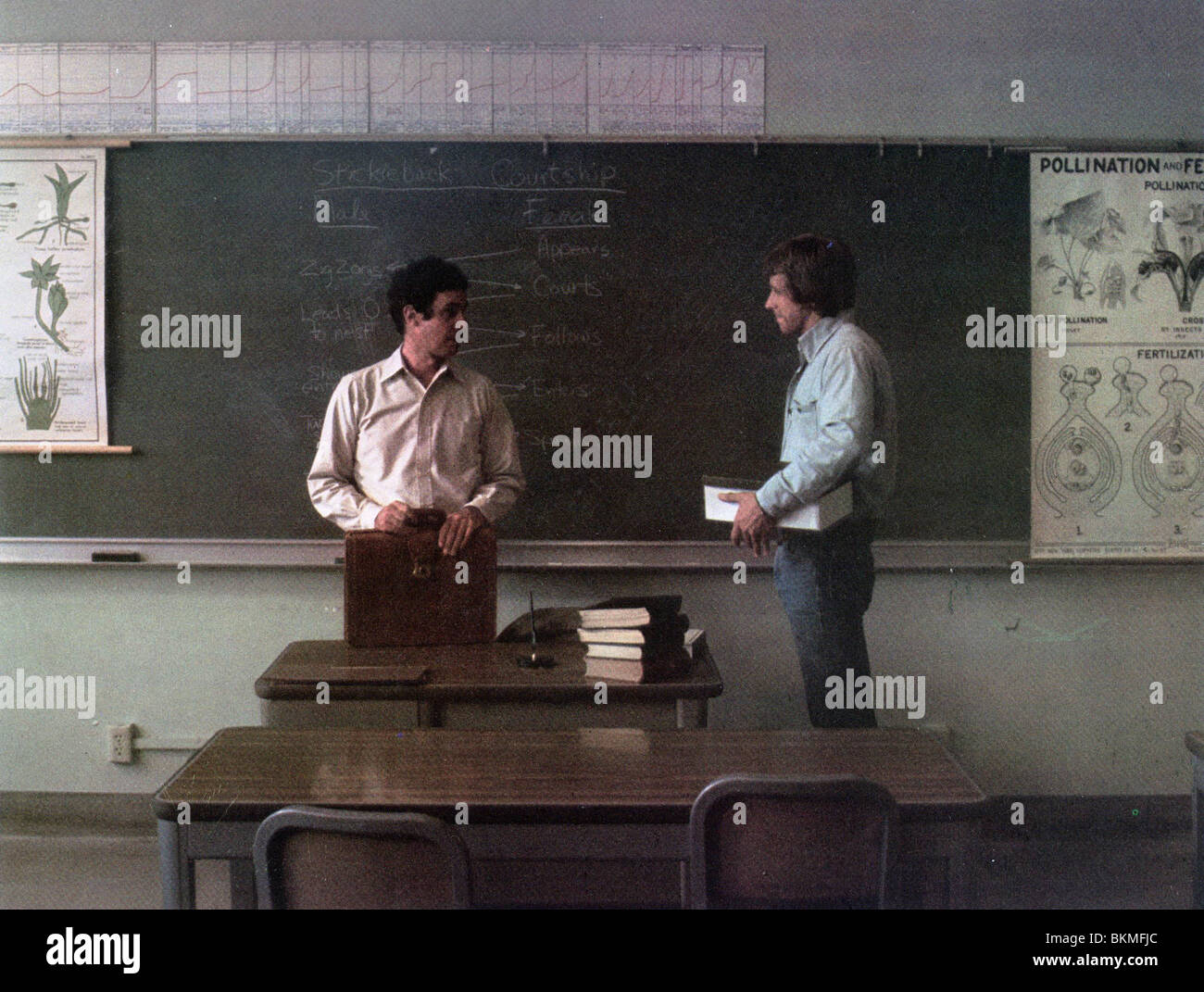 BUG -1975 BRADFORD DILLMAN Stock Photo - Alamy