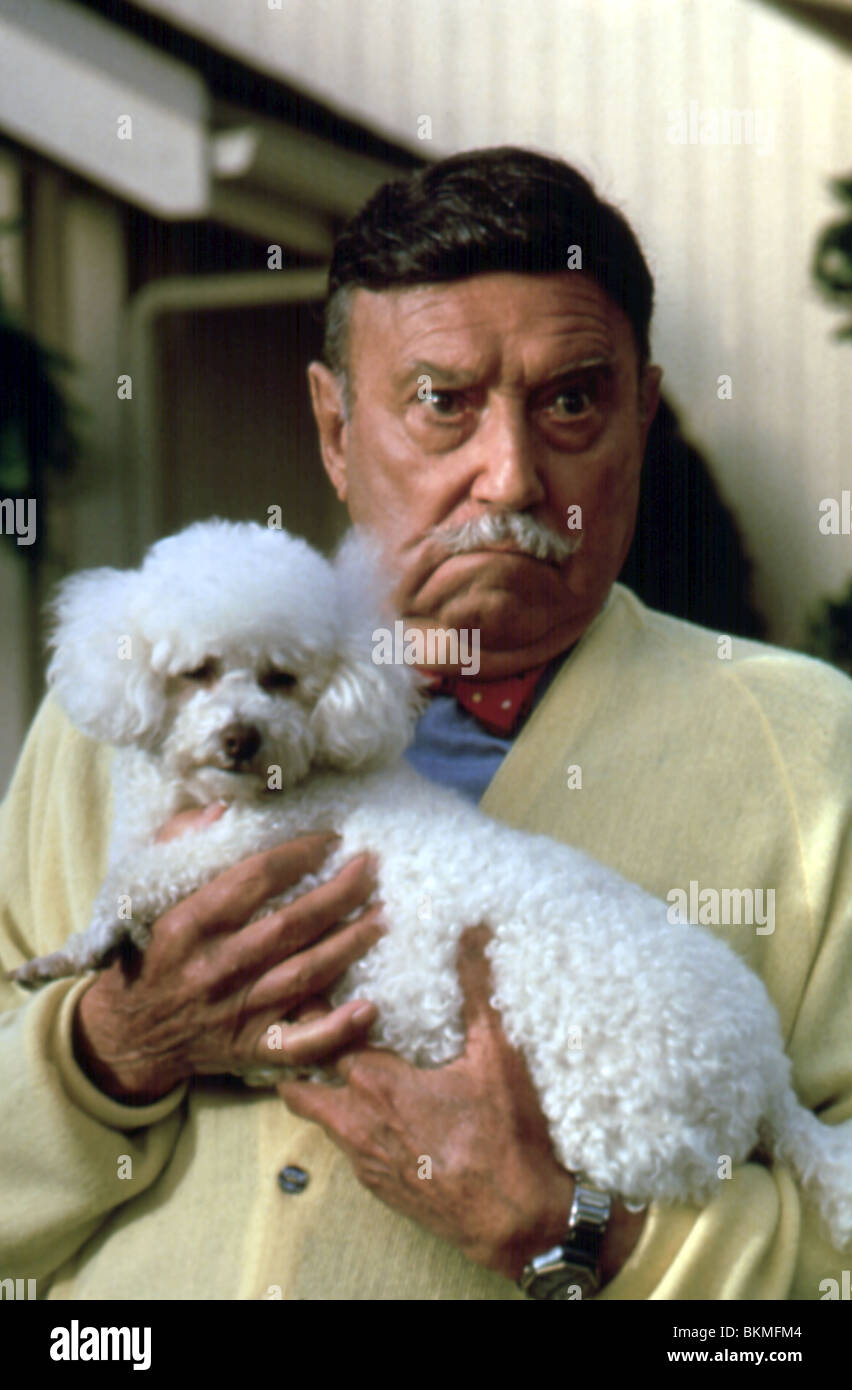 THE BURBS -1989 GALE GORDON Stock Photo - Alamy