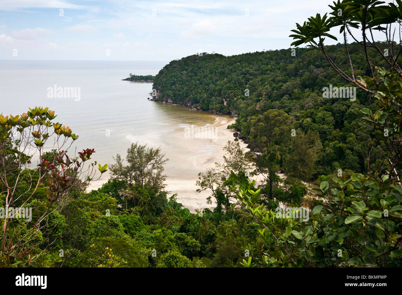View of Teluk Pandan Besar (Big Pandan Bay) in Bako National Park ...