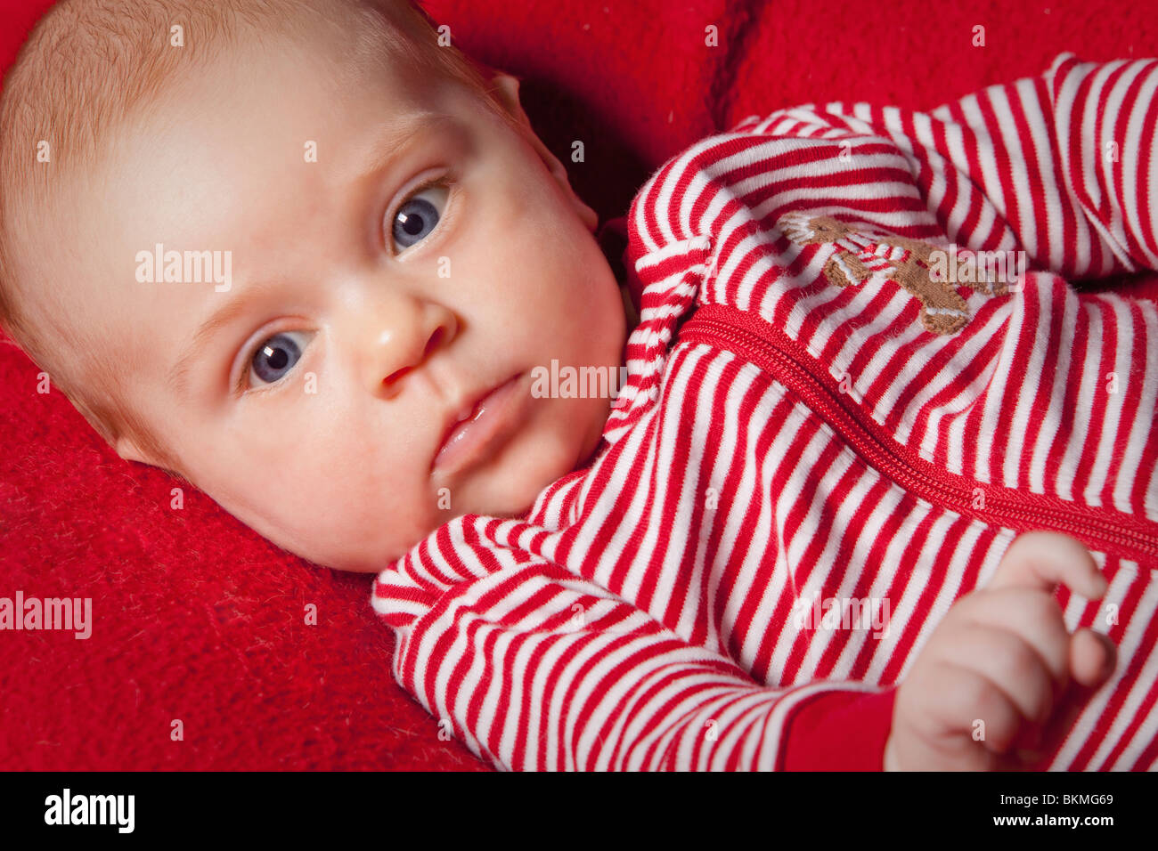 Half portrait infant hi-res stock photography and images - Alamy