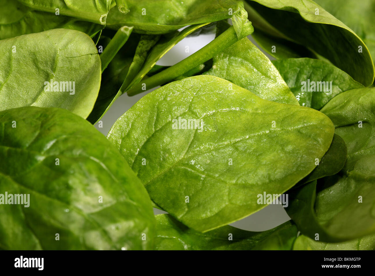 Spinach leaves hi-res stock photography and images - Alamy