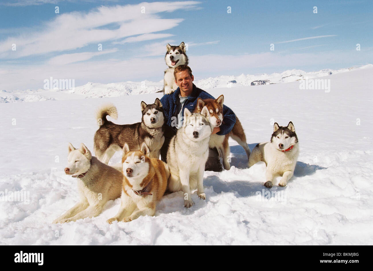 EIGHT BELOW (2006) PAUL WALKER CREDIT DISNEY EBEL 001-27 Stock Photo ...