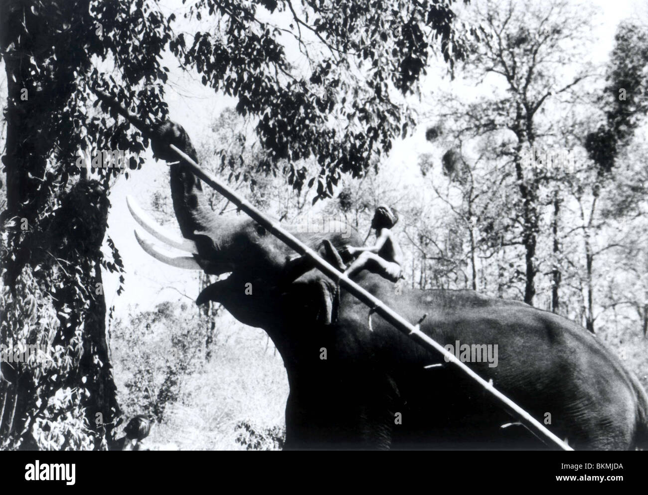 ELEPHANT BOY -1937 Stock Photo - Alamy