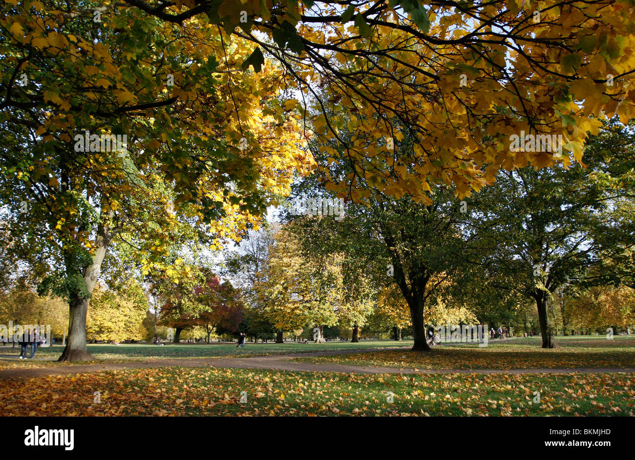 Autumnal trees in Kensington Gardens in London Stock Photo - Alamy