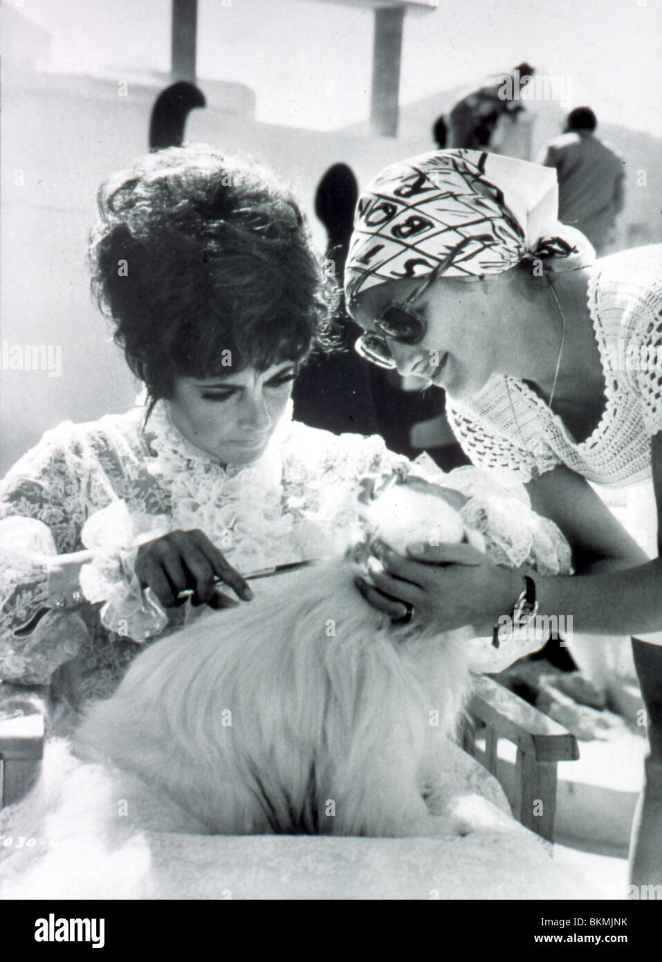 Boom 1968 Elizabeth Taylor Stock Photos & Boom 1968 Elizabeth Taylor ...