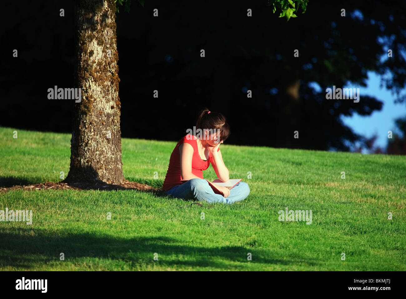 A Girl Reading A Book In The Park Stock Photo - Alamy