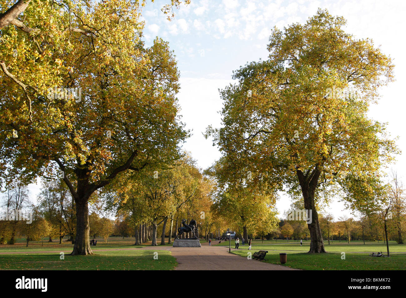 London evening trees hi-res stock photography and images - Alamy