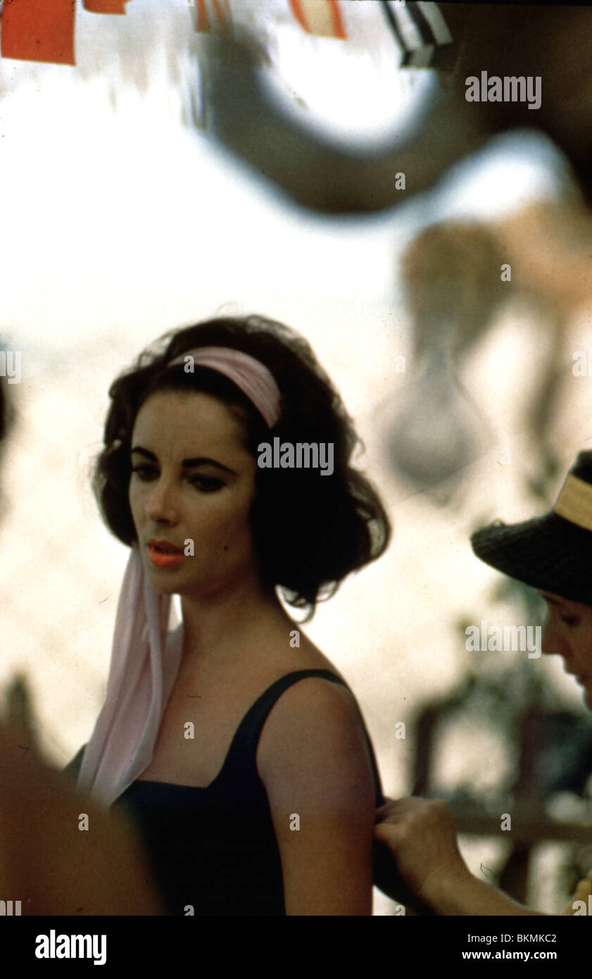 Suddenly last summer hi-res stock photography and images - Alamy