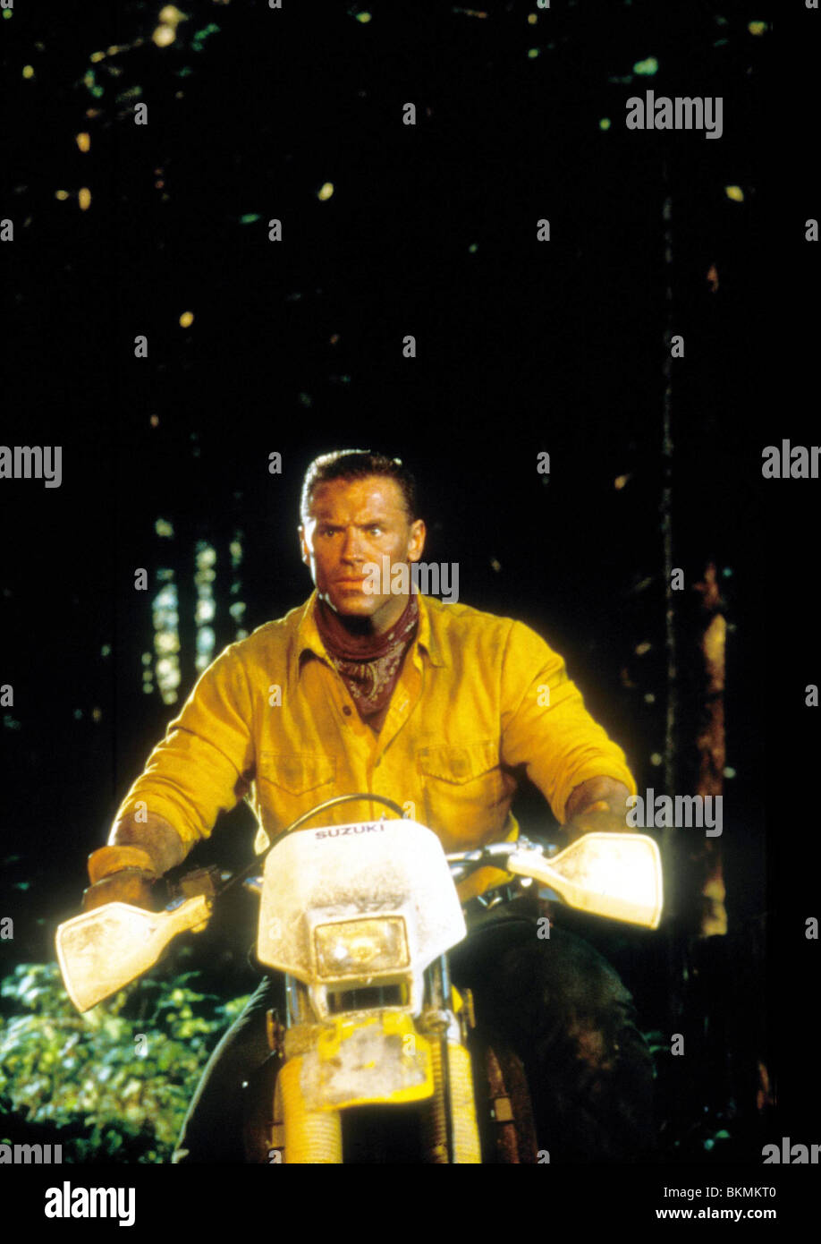 FIRESTORM -1998 HOWIE LONG Stock Photo - Alamy