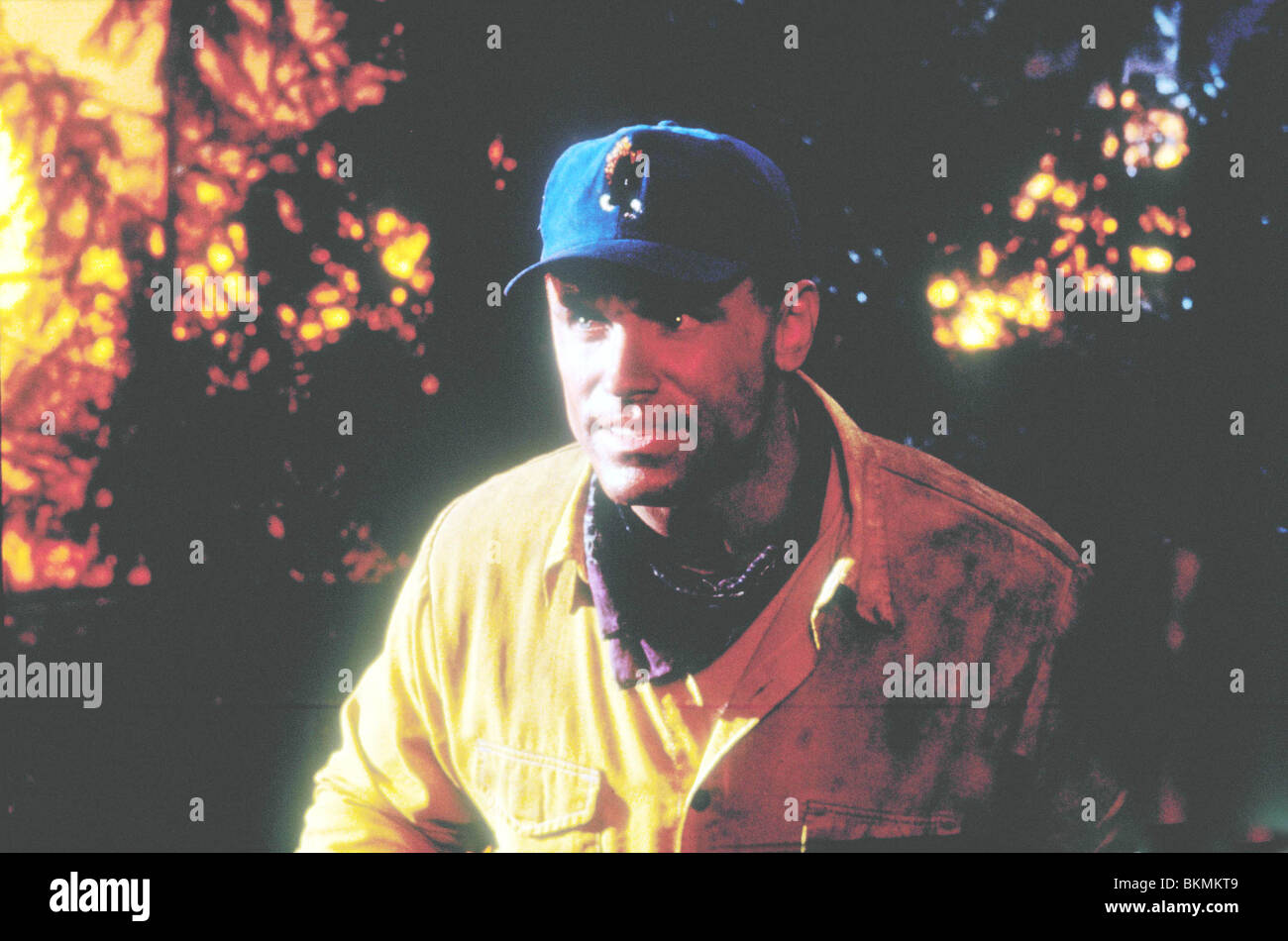 FIRESTORM -1998 HOWIE LONG Stock Photo - Alamy